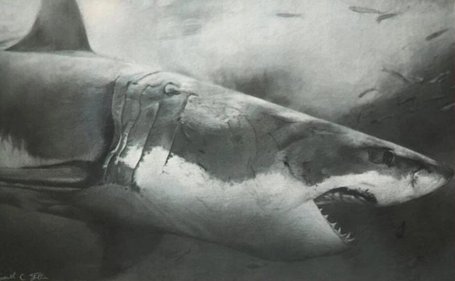 Meet the Artist: Evolve Mentor Daniel Folta Shares His Journey